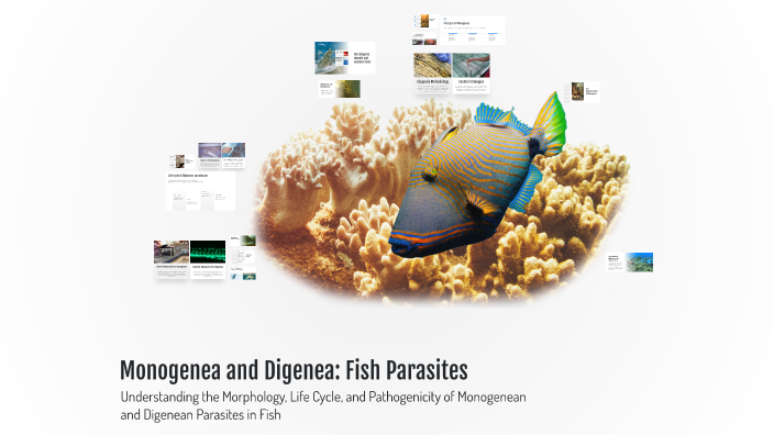 Monogenea and Digenea: Fish Parasites by Basmala Alsafy on Prezi