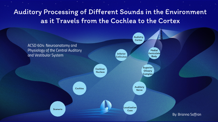 Auditory Procesing of Different Sounds in the Environement as it Travels from the Cochlea to the ...