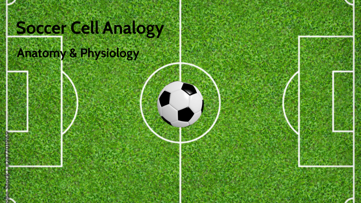 Soccer Cell Analogy by Samantha Riveros on Prezi