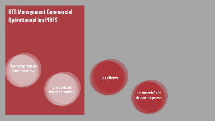 BTS Management Commercial Opérationnel lea PIRES by lea PIRES DEWAELE ...