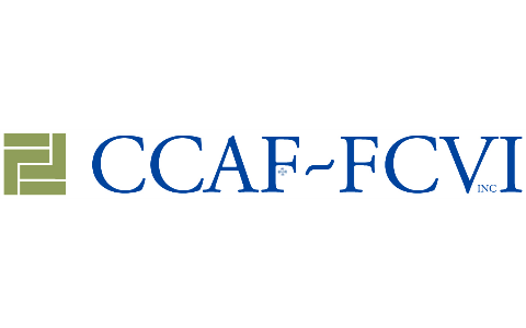 CCAF Audit News presentation by Canadian Audit and Accountability ...