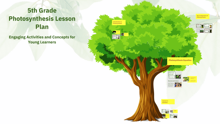 5th Grade Photosynthesis Lesson Plan by Qwuan Barron on Prezi