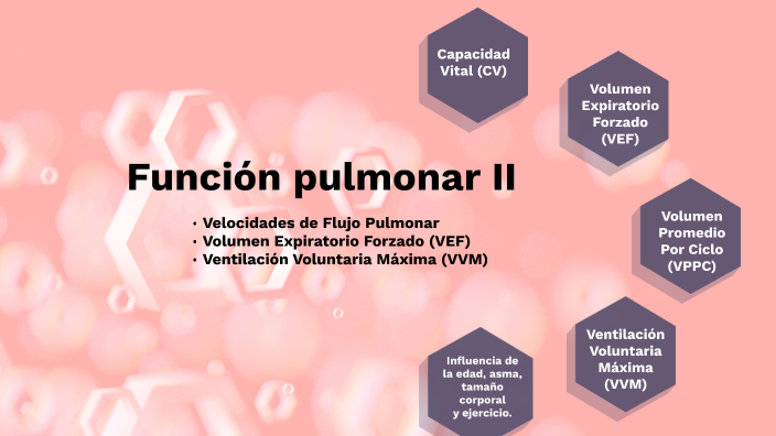 Función Pulmonar II by Juan Pedro Alonso Pons on Prezi