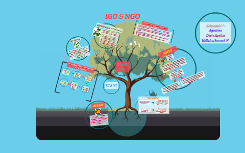 IGO & NGO by Miftahul Jannah Novianti on Prezi