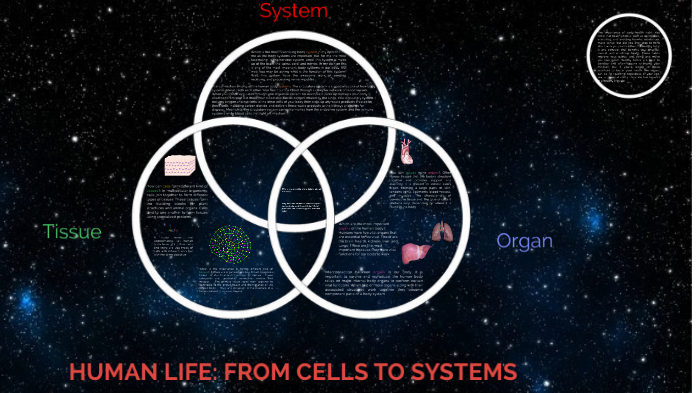Human Life: from Cells to Systems by Diego Casas on Prezi