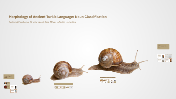 Morphology of Ancient Turkic Language: Noun Classification by Surayyo ...