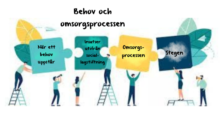 omvårdnads- och omsorgsprocessen by anna nyberg on Prezi