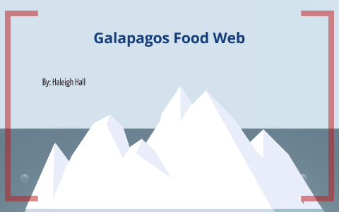 Galapagos Food Web by Haleigh Hall on Prezi Next