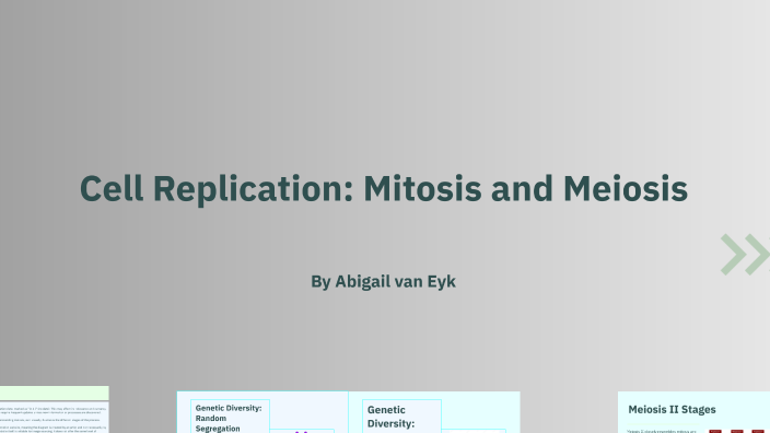 Cell Replication: Mitosis and Meiosis by abi van eyk on Prezi