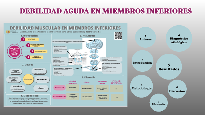 Debilidad miembros inferiores by Marina cordoba garcia on Prezi
