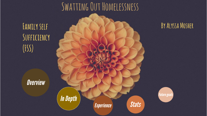 Swatting Out Homelessness by Alyssa Mosher on Prezi