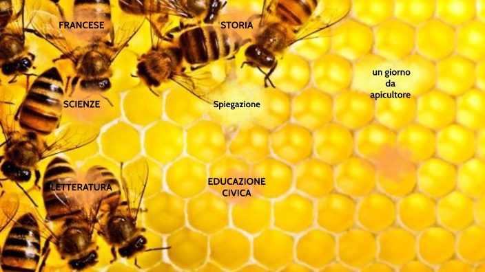 Le api by Federico Condotta on Prezi