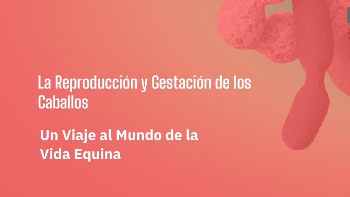 La Reproducción y Gestación de los Caballos by Caremy Academy on Prezi