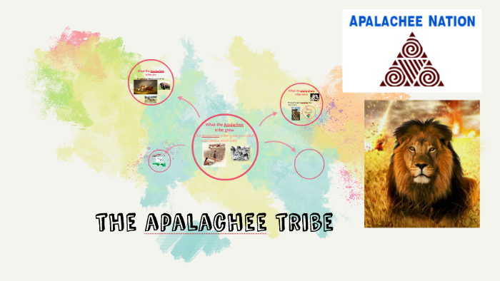 the apalachee tribe by Derrick Kirby on Prezi