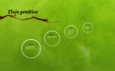 Flujo genético by Pablo Hernández Sepúlveda on Prezi