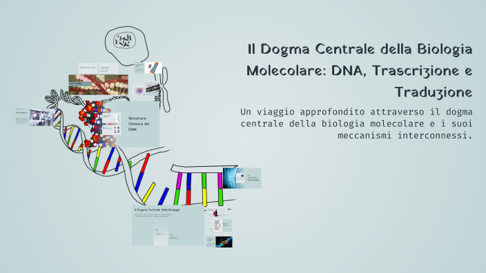 Il Dogma Centrale della Biologia Molecolare: DNA, Trascrizione e Traduzione by Federica Muro on ...