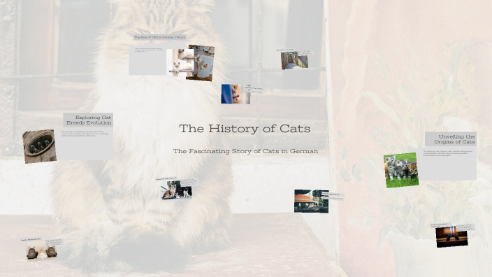 The History of Cats by Bence Molnar on Prezi