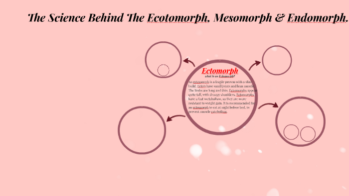 The Science Behind The Ecotomorph, Mesomorph & Endomorph. by carina teofilo