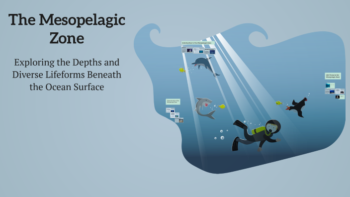 The Mesopelagic Zone by harrison kash on Prezi