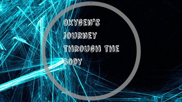 Oxygen's journey through the body by daniel de on Prezi