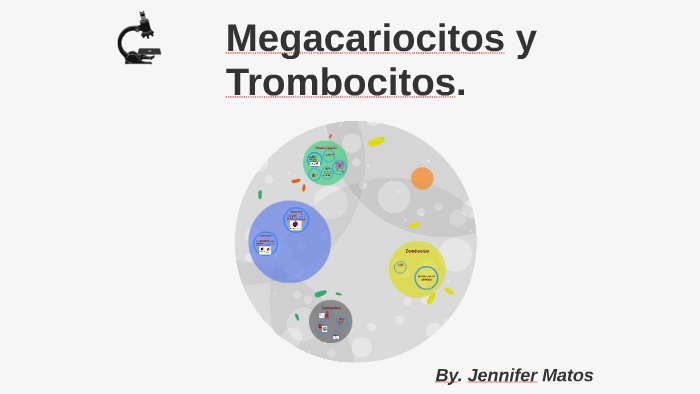 Megacariocitos y trombocitos. by Jennifer Matos on Prezi