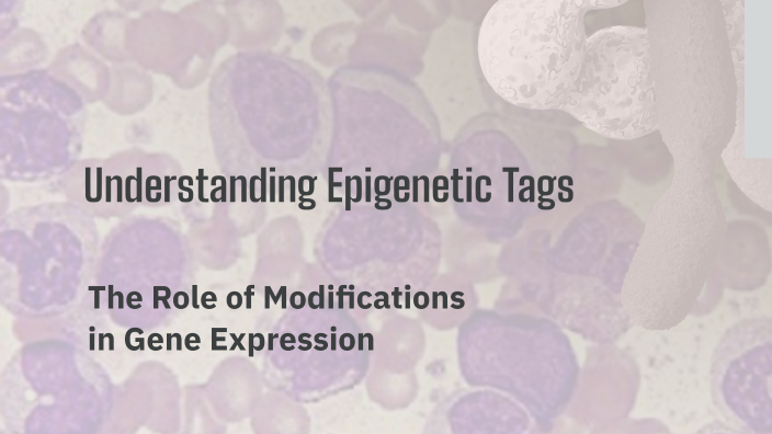 Understanding Epigenetic Tags by Leah Russo on Prezi