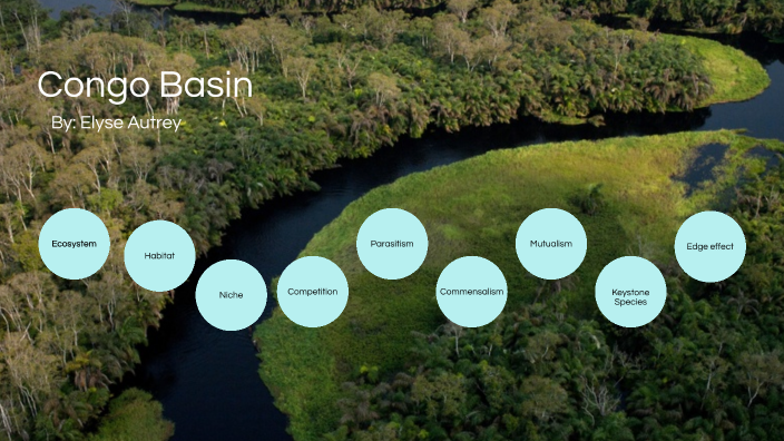 ecosystem project by Elyse Autrey on Prezi