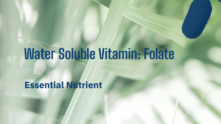 Water Soluble Vitamin: Folate by Harshini Manoharan on Prezi