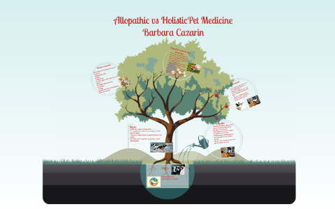 Allopathy Vs Holistic Medicine by Barbara Cazarin on Prezi