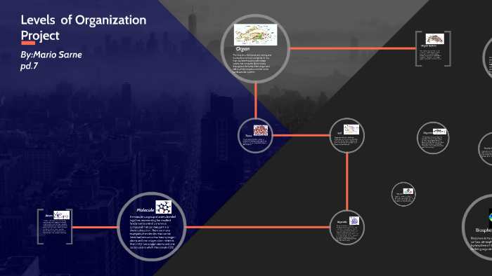 Levels of Organization Project by mario sarne on Prezi