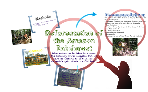Deforestation of the Amazon Tropical Rainforest and Suggestions for ...