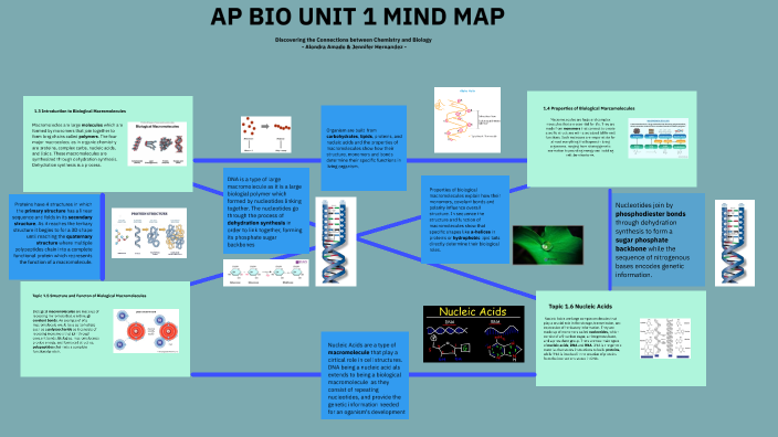 AP BIO UNIT 1 MIND MAP by Jennifer Hernandez Rosales on Prezi