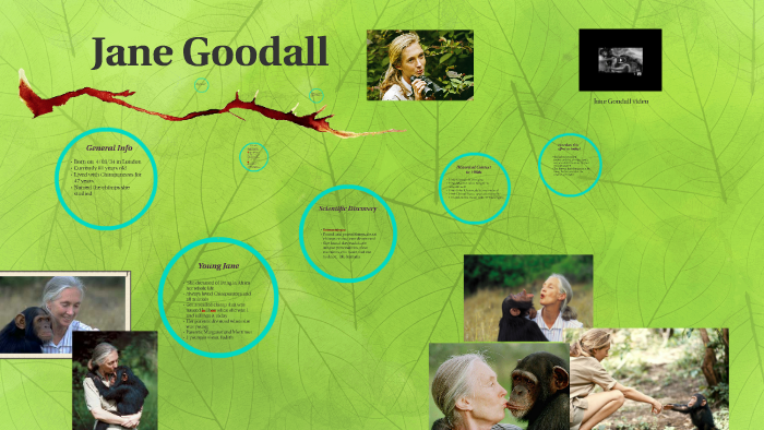 Jane Goodall by Jadyn Fisher on Prezi