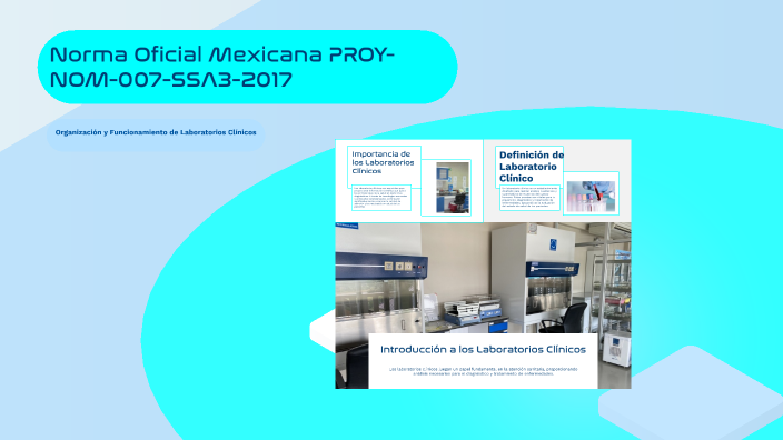 Norma Oficial Mexicana PROY-NOM-007-SSA3-2017 by LUIS ENRIQUE CORTEZ ...