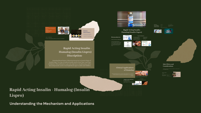 Rapid Acting Insulin - Humalog (Insulin Lispro) by Sawyer Arny on Prezi