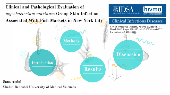 Clinical and Pathological Evaluation of Mycobacterium marinum Group ...