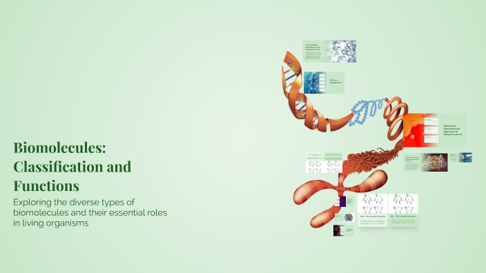 Biomolecules: Classification and Functions by Walin Ramón 2015-0113 ...