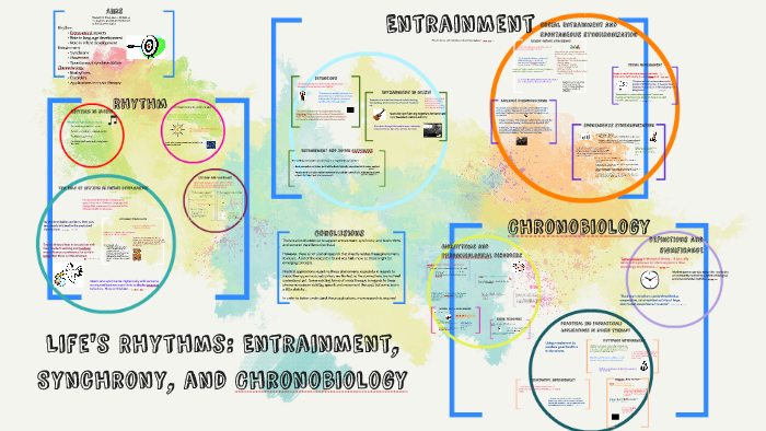 Entrainment, Synchronous Movement, and the Role of Rhythm in by Haley ...