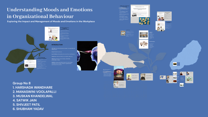 Understanding Moods and Emotions in Organizational Behaviour by ...