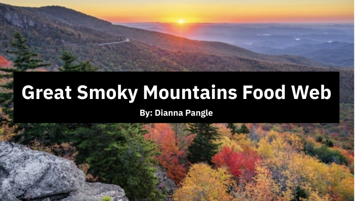 Great Smoky Mountains Food Web by Dianna Pangle on Prezi