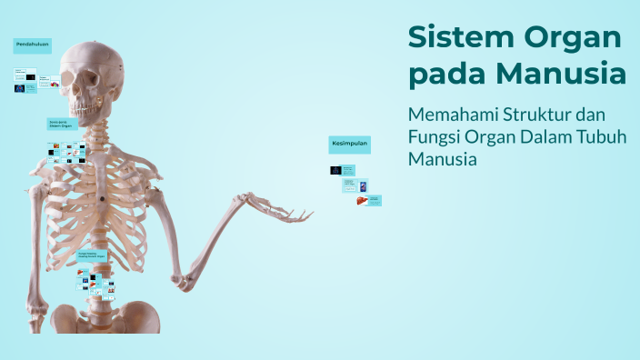 Sistem Organ pada Manusia by Karlos Karlos on Prezi