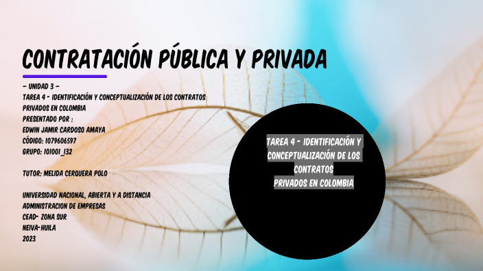 Identificación y conceptualización de los contratos privados en ...