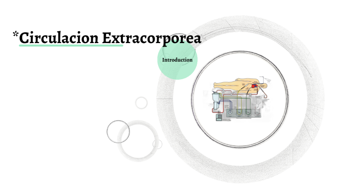Circulación Extracorpórea by Danielle Castillo Navarrete on Prezi