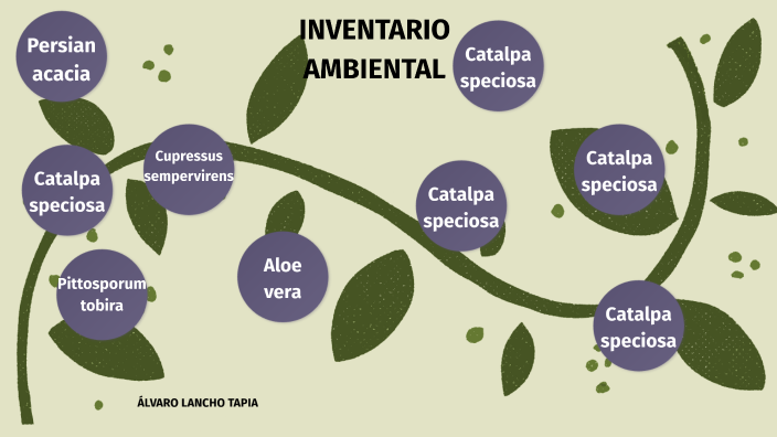 INVENTARIO AMBIENTAL by Jose de la Fuente on Prezi