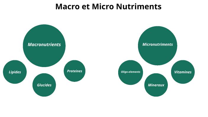 Macro et Micro nutriments by Sabina Tawil on Prezi