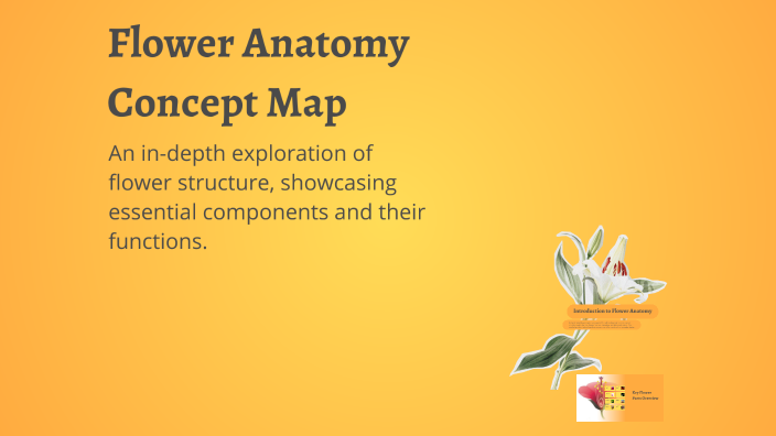 Flower Anatomy Concept Map by Tyler Mannetter on Prezi