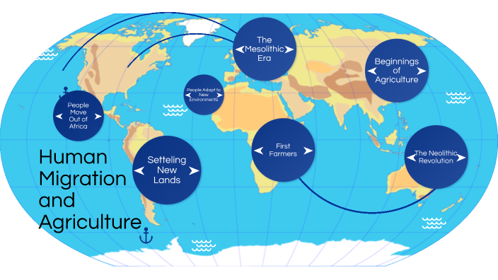 Human Migration and Agriculture by KAYCEE L PAULEY-GANGWER on Prezi