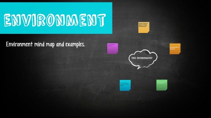 Environment mind map and examples by jack rogers