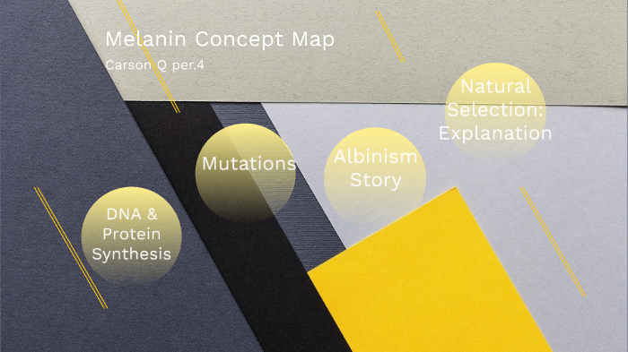 Melanin Concept Map by Carson Quiroz on Prezi