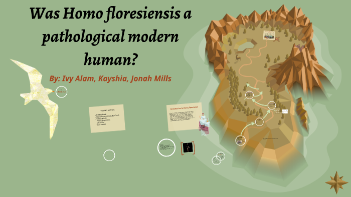 Was Homo floresiensis a pathological modern human? by kay haughton on Prezi